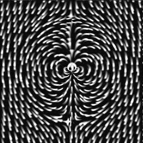 TexMap LIC / Texture Map / Texture Mapping / Line Integral Convolution